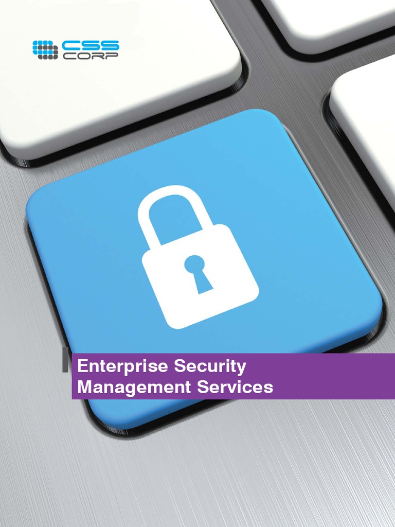 BR Enterprise Security MGMT | PDF | Computer Security | Security