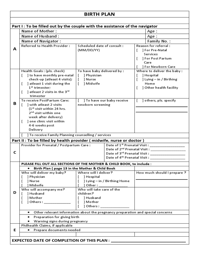 Birth Plan | PDF | Childbirth | Midwife