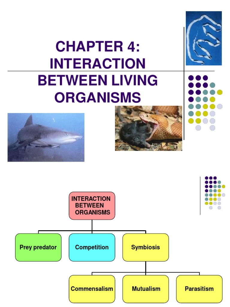 Chapter 4 Interaction Between Organism | PDF | Symbiosis | Biological ...