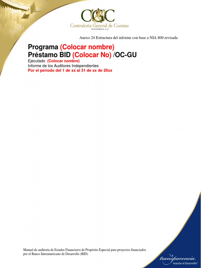 Anexo 24 Estructura Del Informe Con Base A NIA 800 Revisada | PDF ...