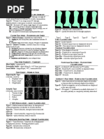 Podiatry Terms Glossary | PDF | Toe | Foot