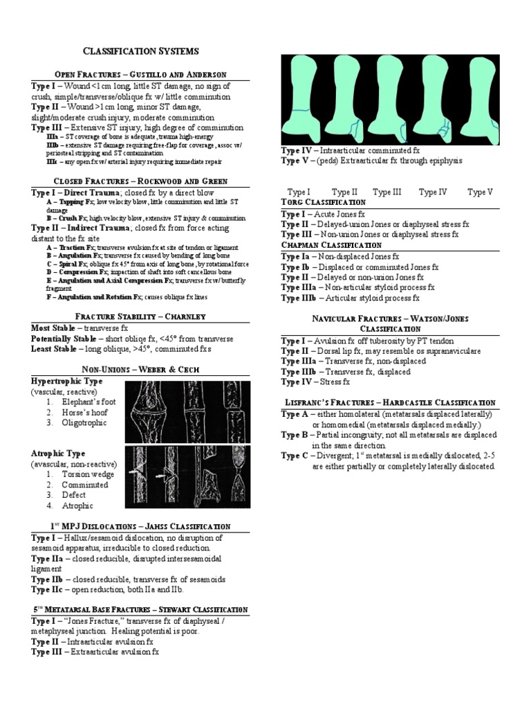 Classification Systems | PDF | Ankle | Musculoskeletal System