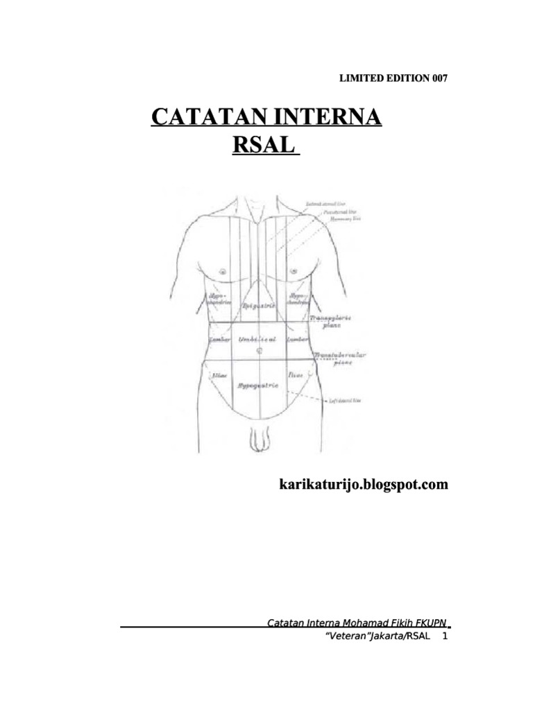 Catatan Interna Rsal PDF | PDF