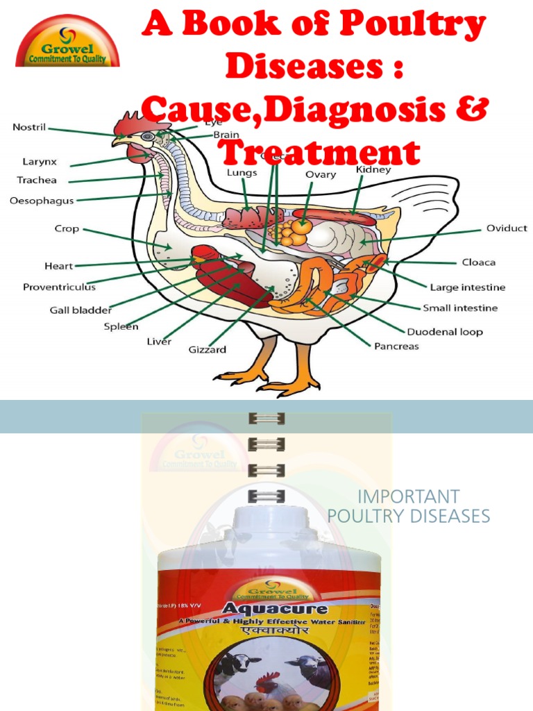 Understanding Poultry Diseases: A Comprehensive Guide to the Causes ...
