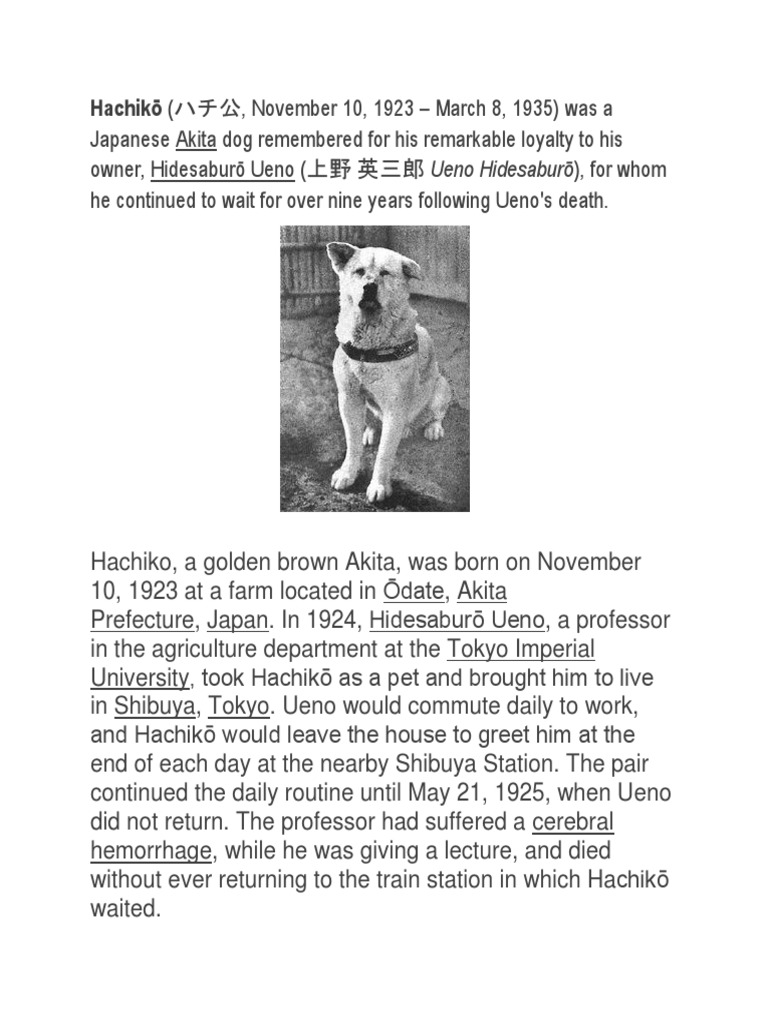 Hachikō: The Loyal Akita Dog Story | PDF