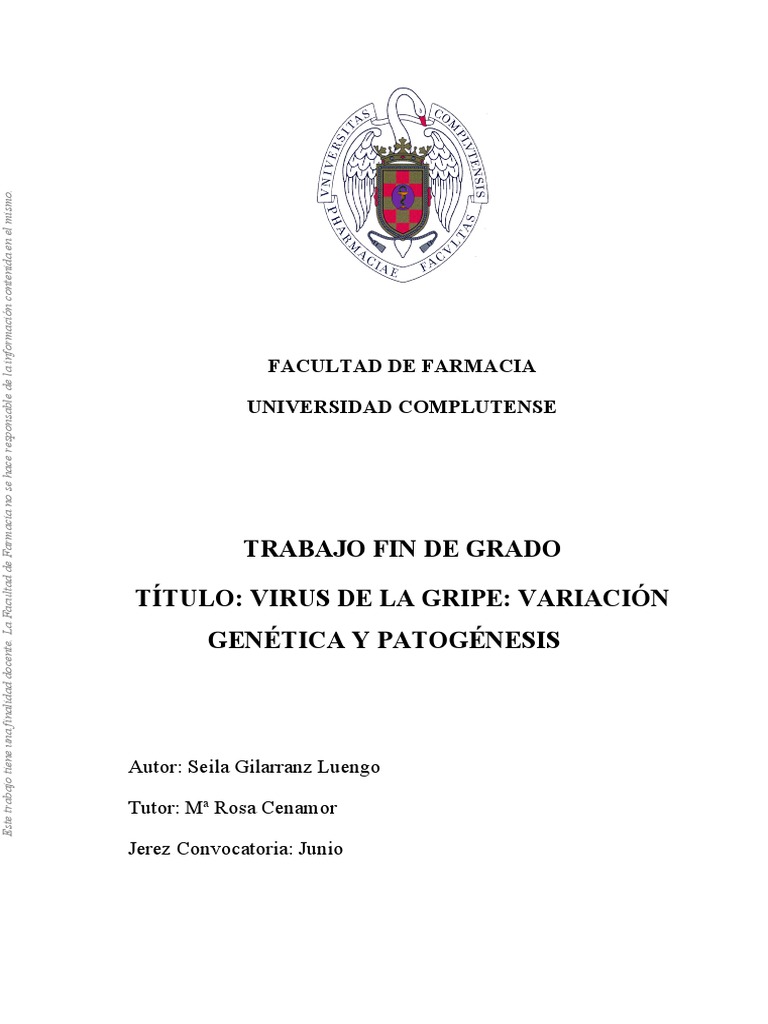Seila Gilarranz Luengo PDF | PDF | Influenza | Virus