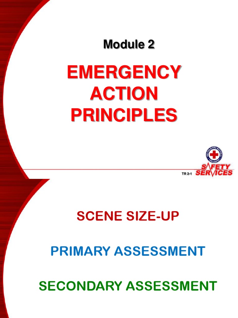 Emergency Action Principles | PDF