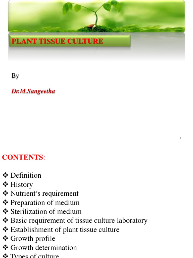Plant Tissue Culture | PDF | Cell Culture | Biology