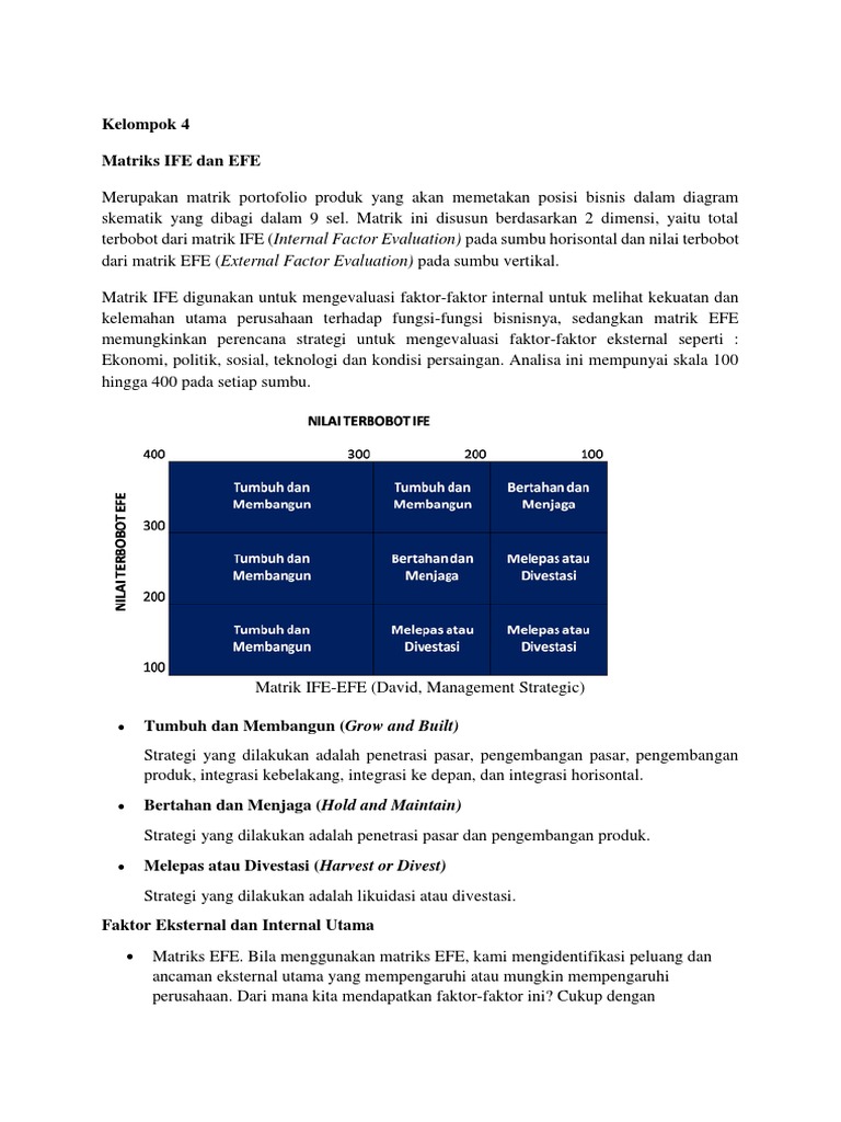 Matriks IFE dan EFE dalam Strategi Bisnis | PDF