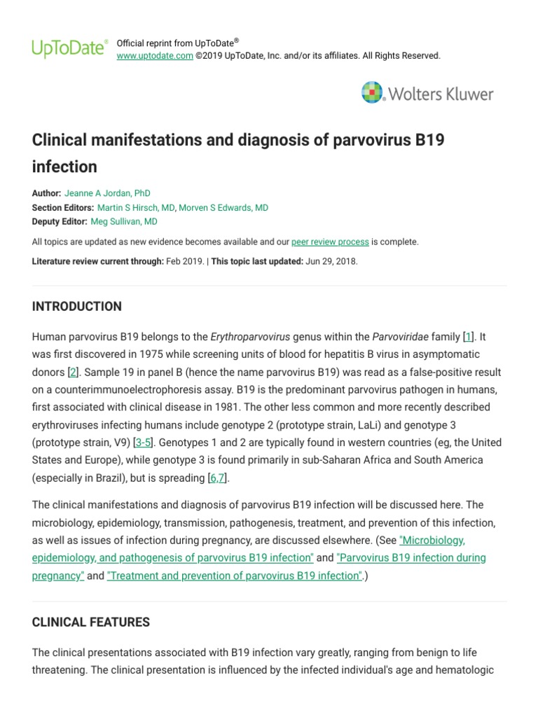 Clinical Manifestations and Diagnosis of Parvovirus B19 Infection ...