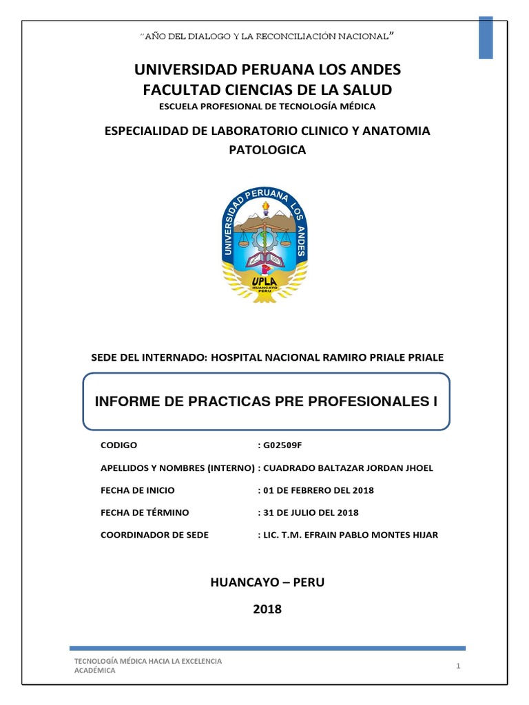 Informe de Practicas Pre Profesionales | PDF | Hospital | Perú