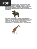 10 Animales Carnívoros, Herbívoros y Omnívoros | PDF