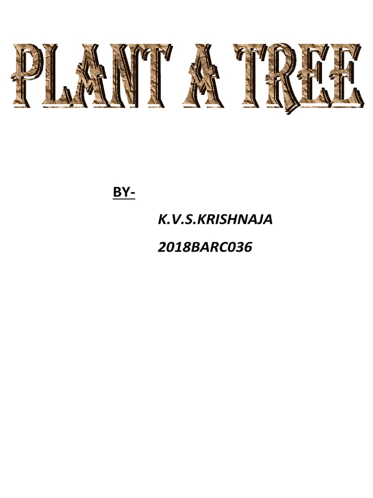 Planting a Kahua Tree for Shade and Medicinal Uses | PDF | Leaf | Trees