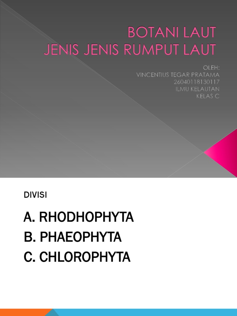 Botani Laut | PDF