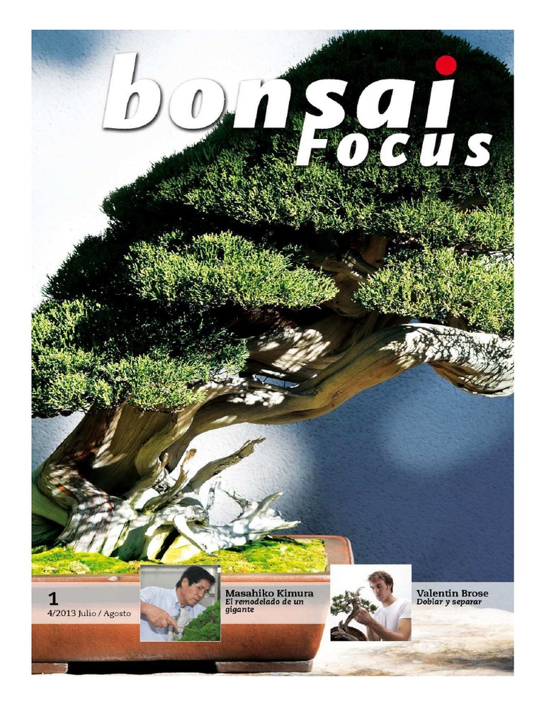 Bonsai Focus 01 PDF | PDF