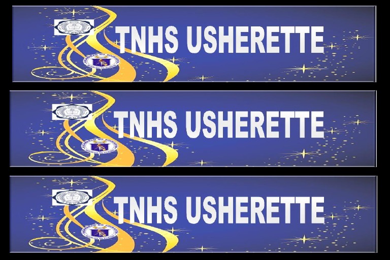 Usherette Sash | PDF