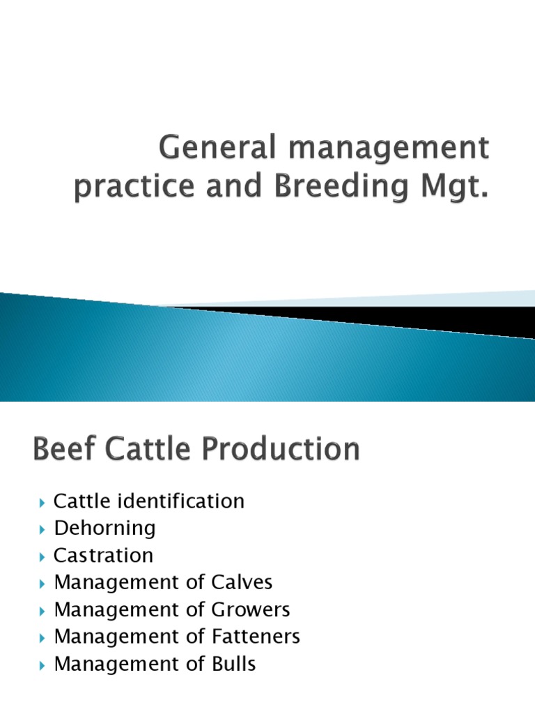 General Management Practice and Breeding | PDF | Calf | Goat
