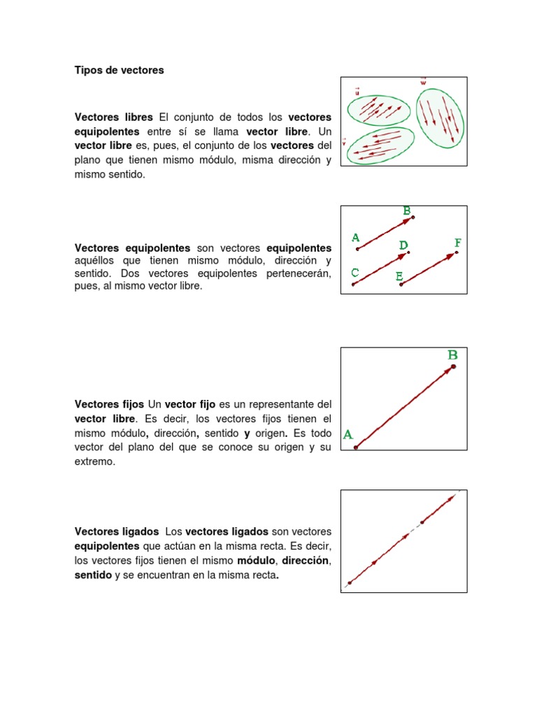 Tipos de vectores.docx