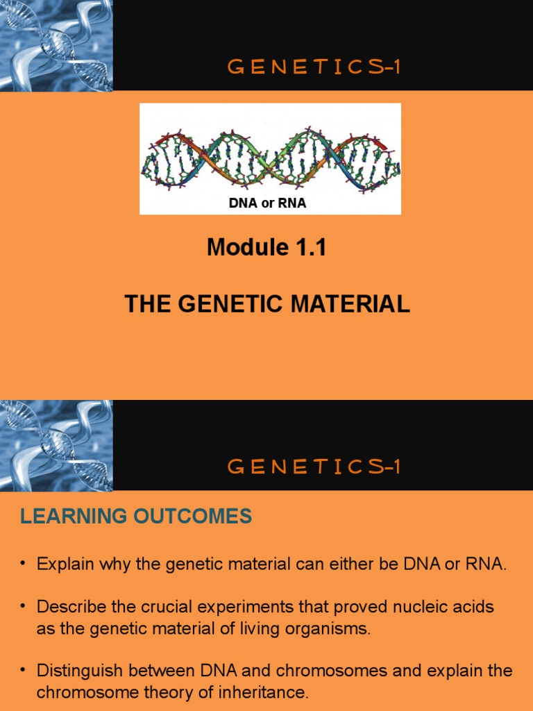 Understanding DNA and RNA as Genetic Material | PDF | Bacteriophage ...