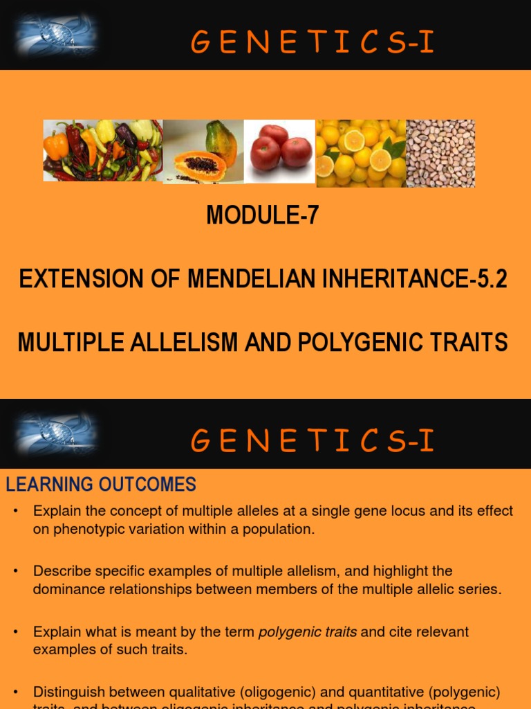 Multiple Allelism and Polygenic Traits | PDF | Allele | Quantitative ...