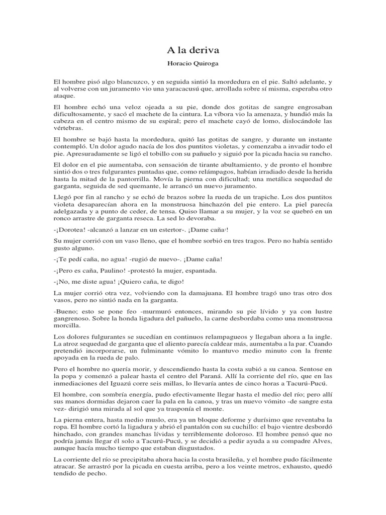 A La Deriva. Comprensión Lectora Sexto Grado | PDF | Naturaleza