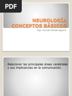 Anatomía del Tectum y Tegmentum | PDF | Anatomía | Cerebro