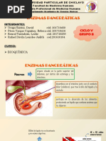 FRUTENZIMA: Usos y Beneficios Clínicos | PDF | Páncreas | Órgano (anatomía)