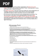 Answer Key Lab Microscopes and Cells | PDF | Microscope | Theory