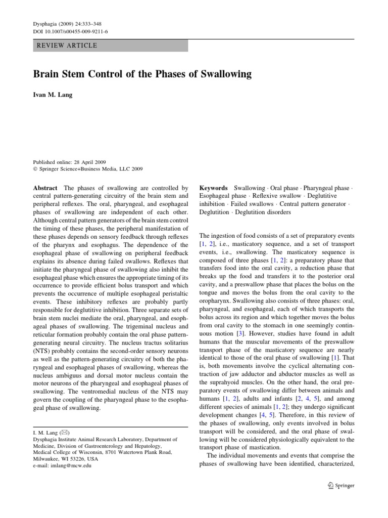 Brain Stem PDF | PDF
