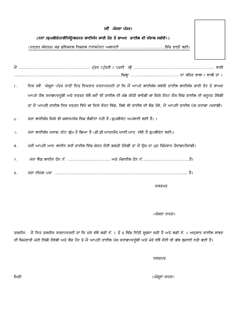 Self Declartion Form For Punjab | PDF