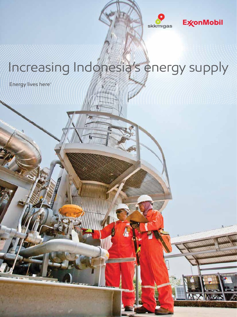 Company Profile 2017 | PDF | Exxon Mobil | Petroleum