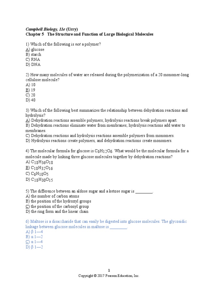 Chapter 5 The Structure and Function of Large Biological Molecules ...