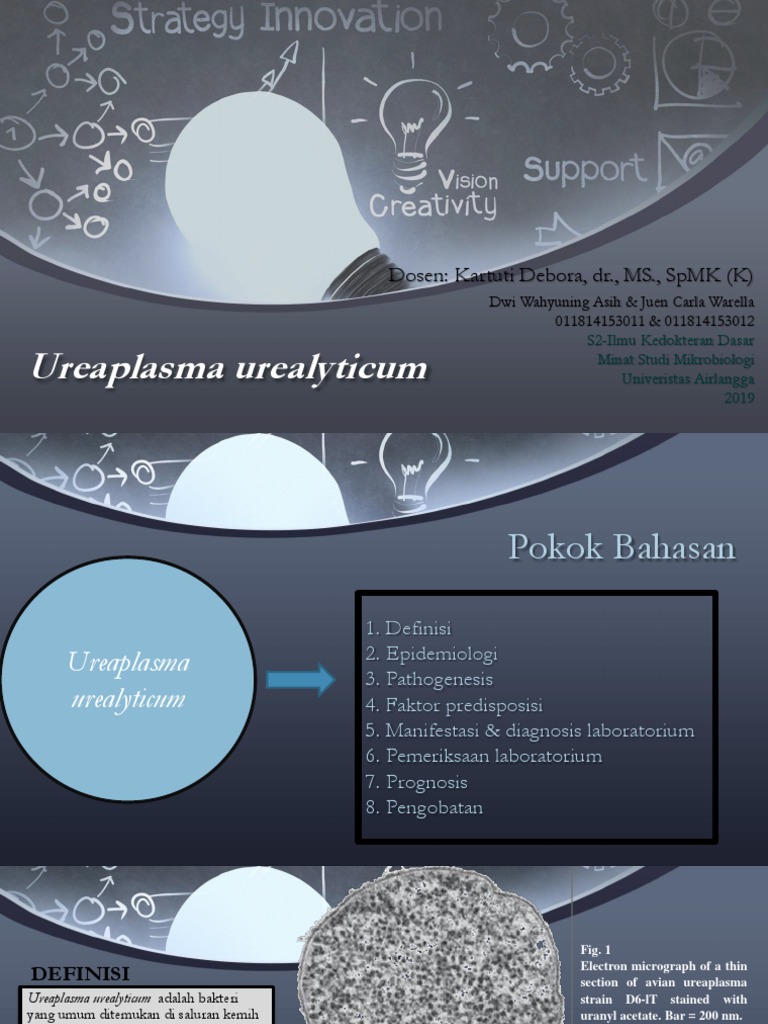Ureaplasma Urealyticum: Definisi dan Epidemiologi | PDF | Sains ...