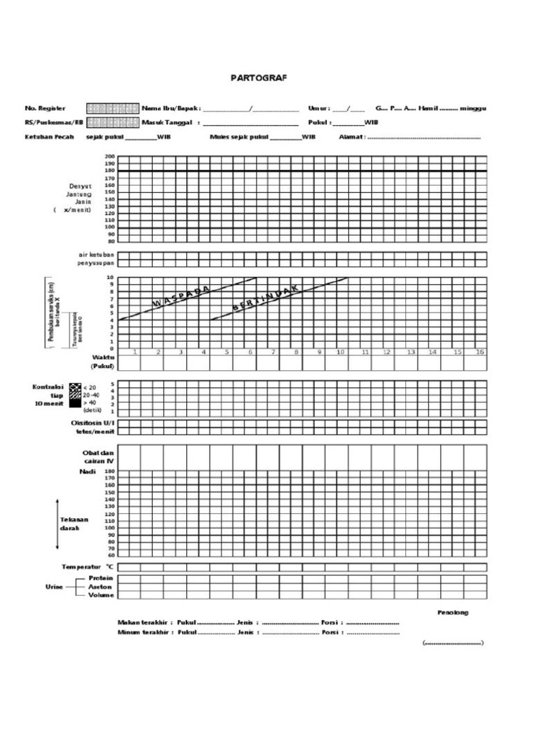 Format Partograf | PDF