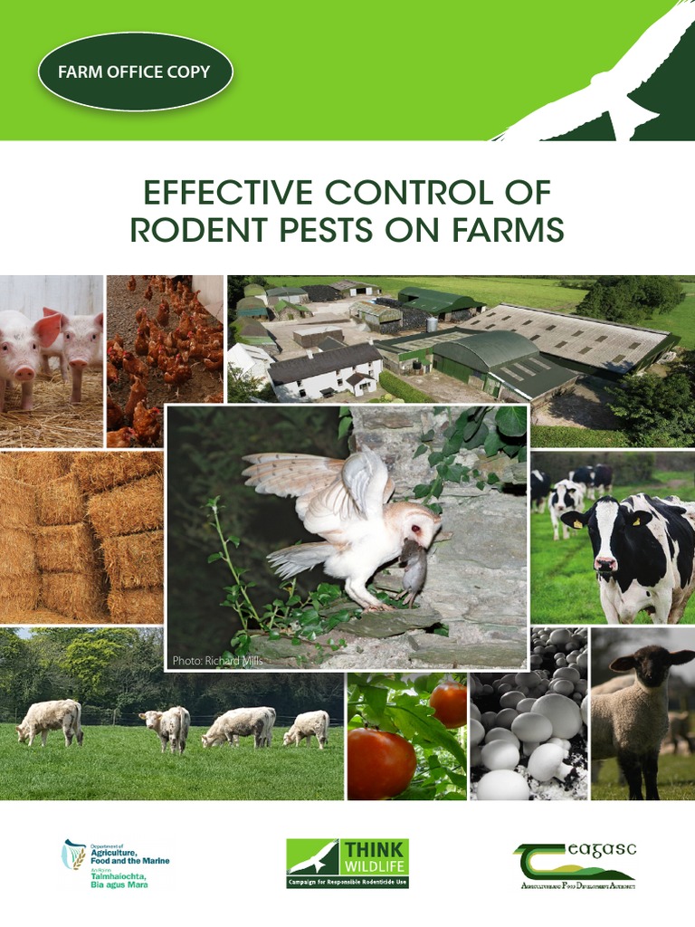 Farm Rodent Control Guide | PDF | Rodent | Trapping