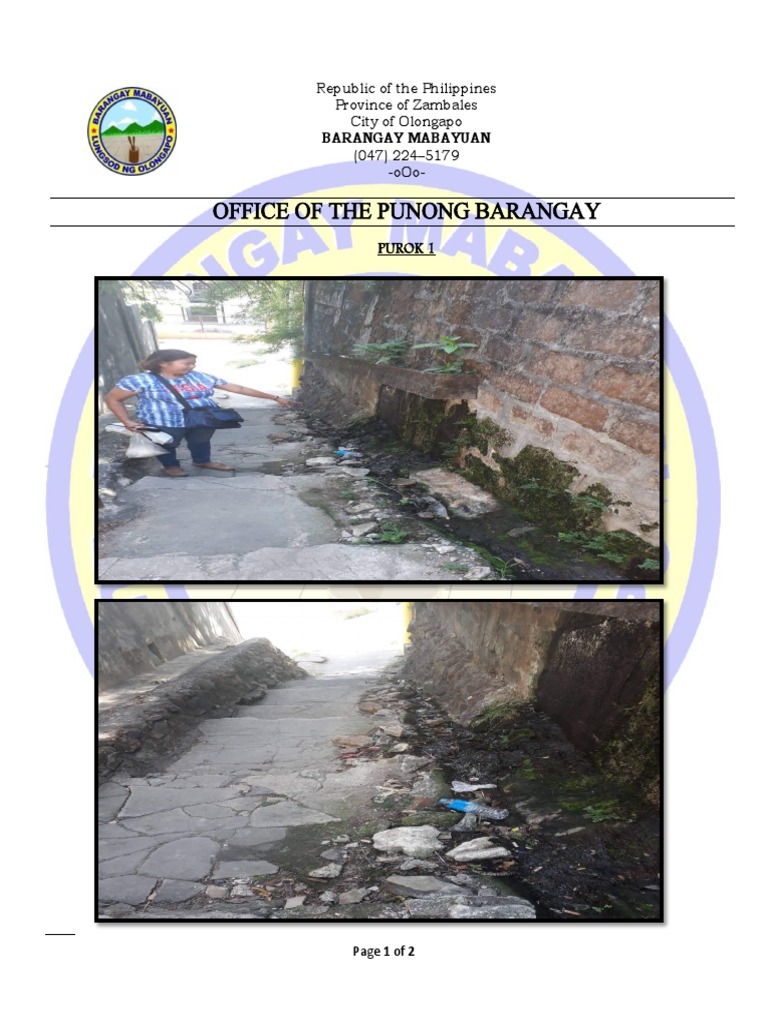 Purok Report | PDF