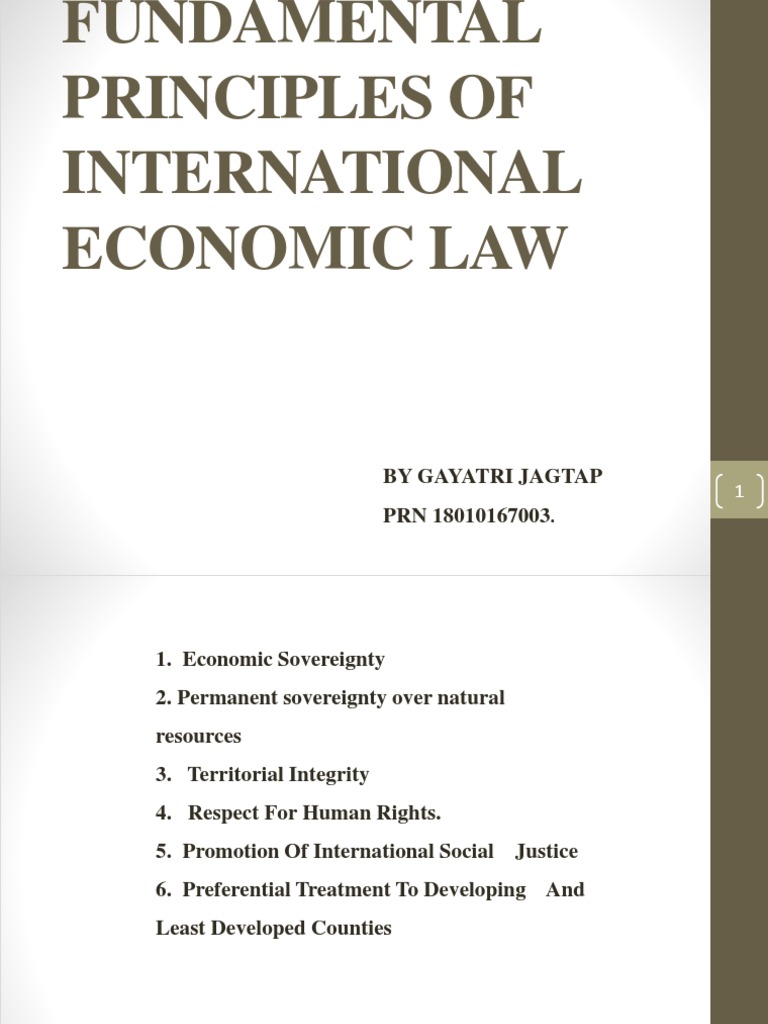 Key Principles of International Economic Law | PDF | International Law ...