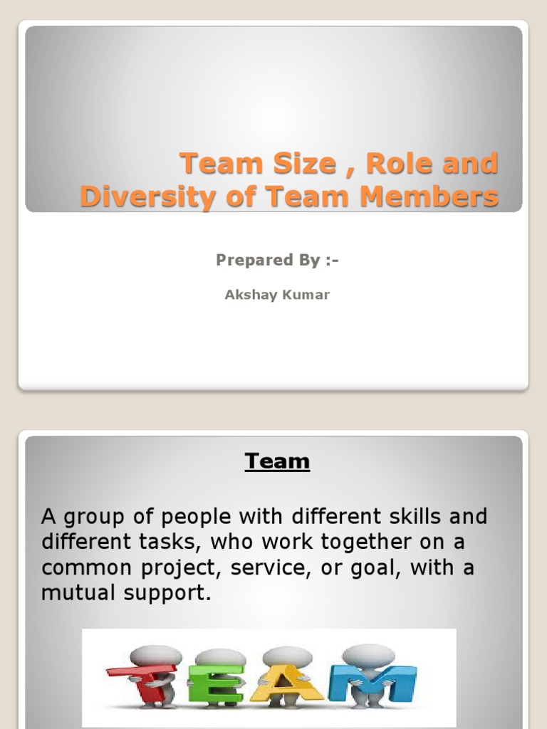 Team Size, Role and Diversity of Team | PDF