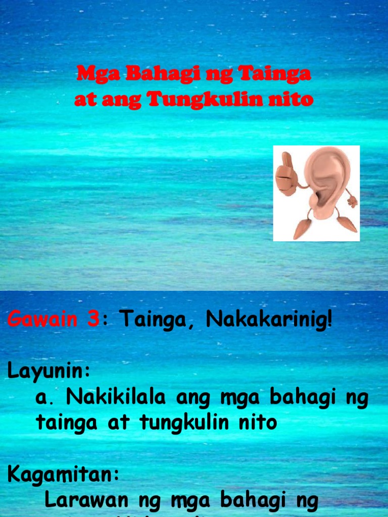 Q2.parts of The Ear | PDF