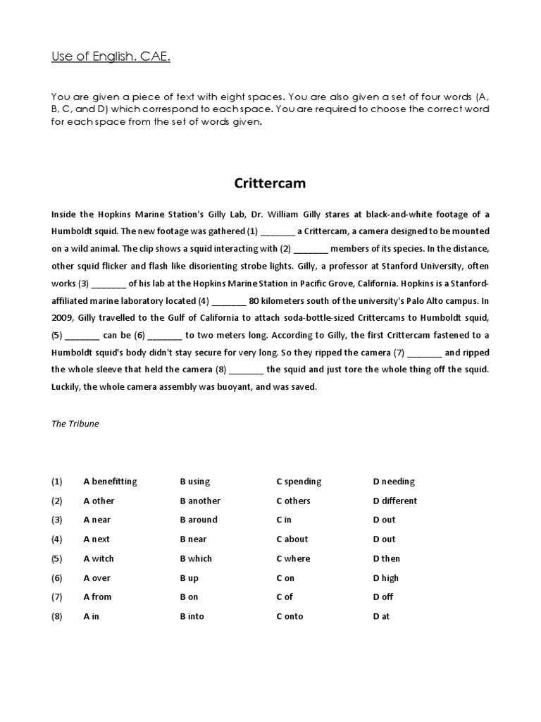 Use Of English Cae Exercises – C1 Cambridge Exercises Pdf – BBEM