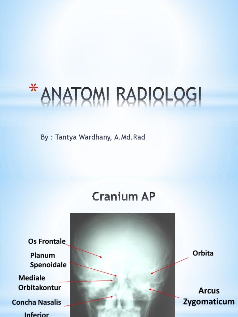 Anatomi Radiologi | PDF