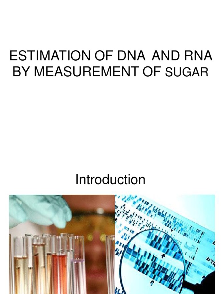 Estimation of DNA & RNA | PDF | Dna | Nucleotides