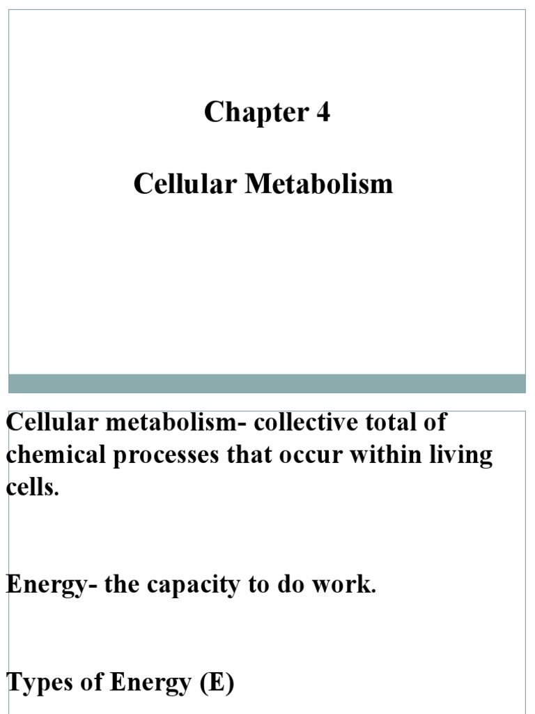 Cellular Metabolism Basics | PDF | Metabolism | Enzyme