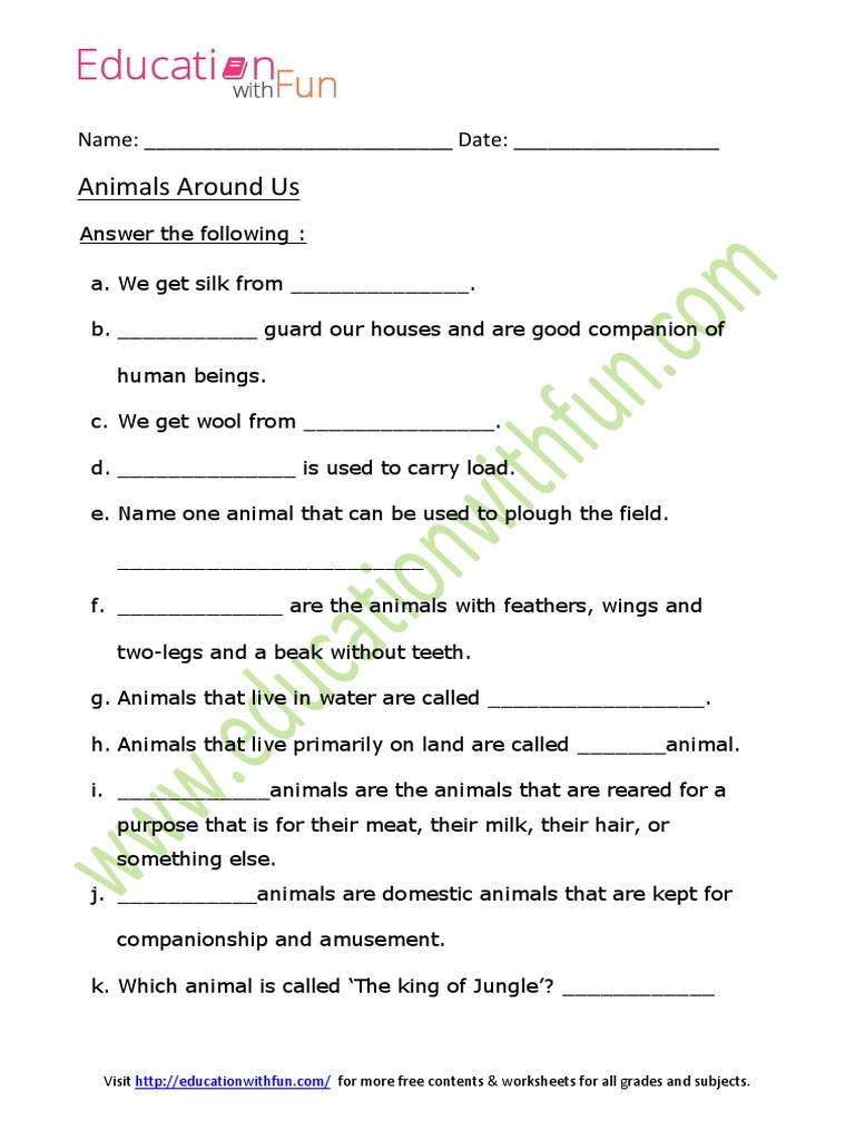 Animal Around Us Worksheet 2