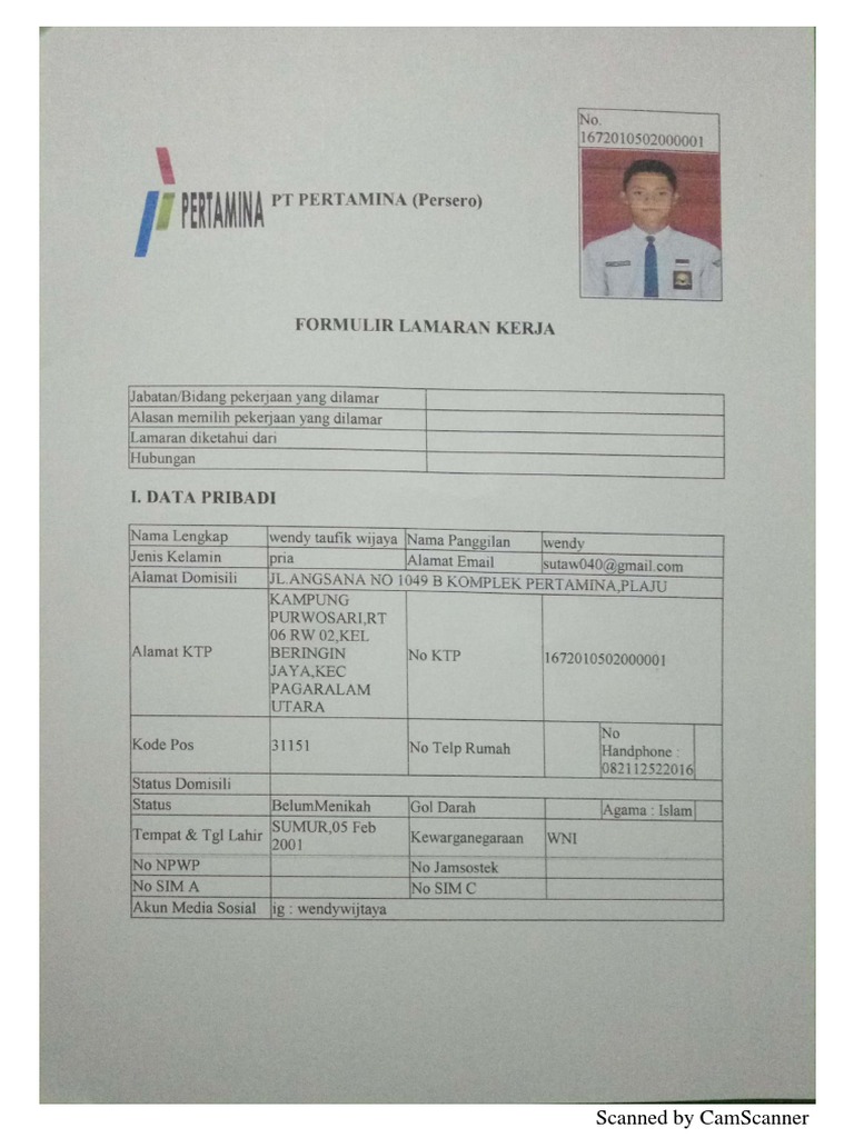 CV Pertamina 2 | PDF