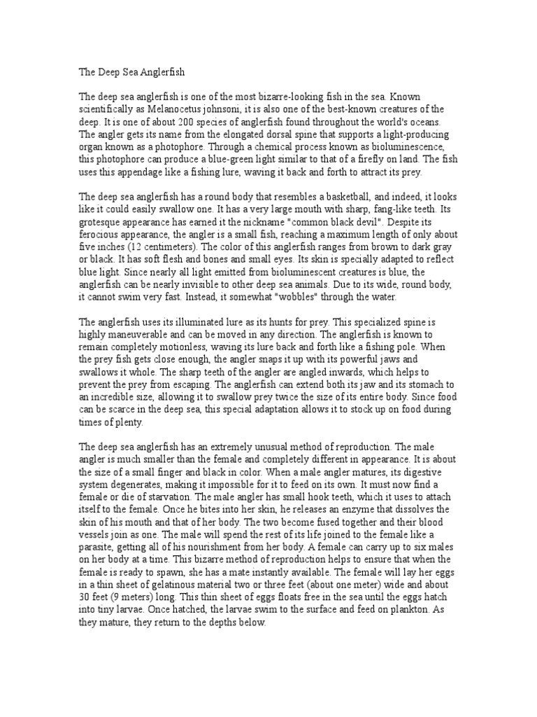 The Deep Sea Anglerfish | PDF | Fish | Aquatic Animals