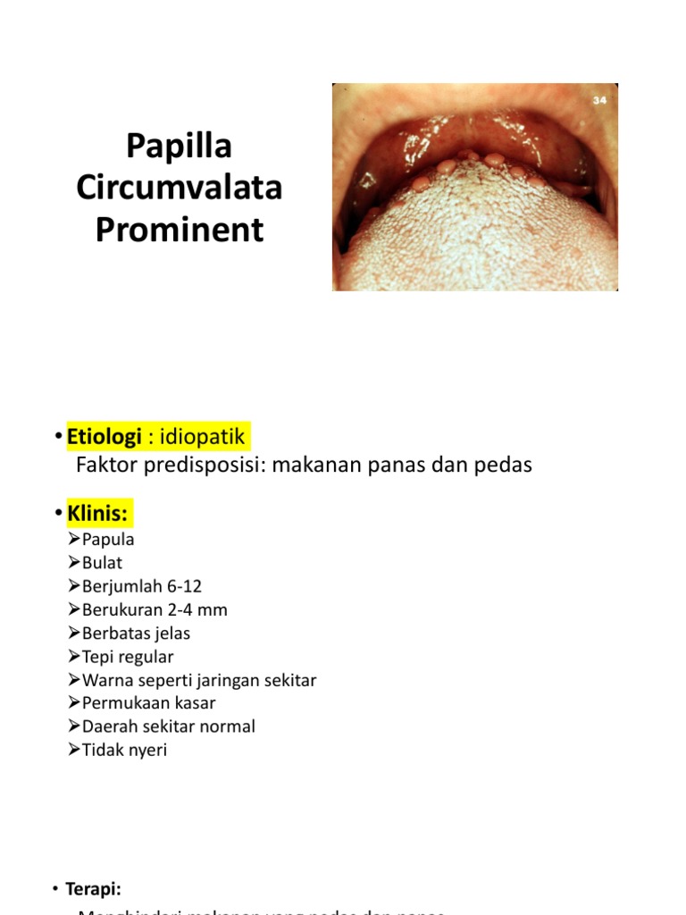 Papilla Circumvalata Prominent