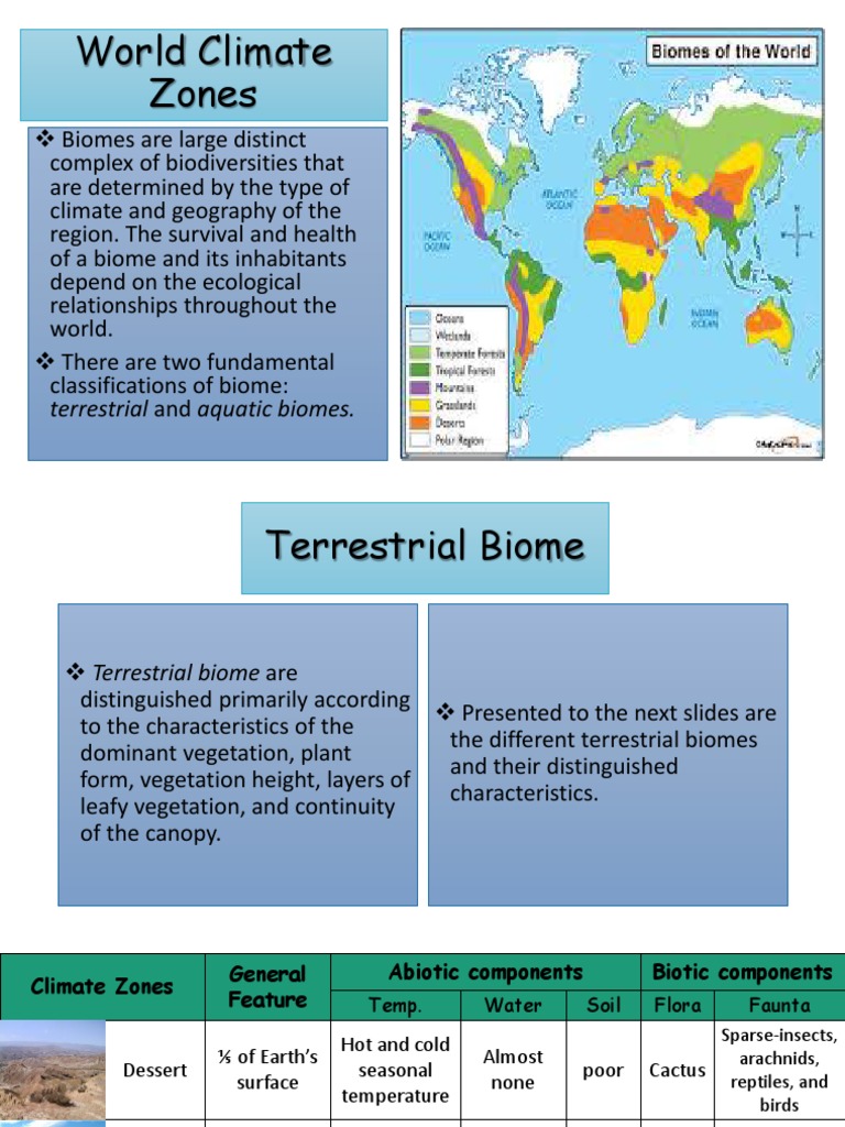 World Climate Zones: Terrestrial and Aquatic Biomes | PDF | Forests | Soil