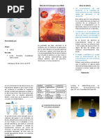 Organizador Grafico de Los Derechos Humanos y Sus Características | PDF ...