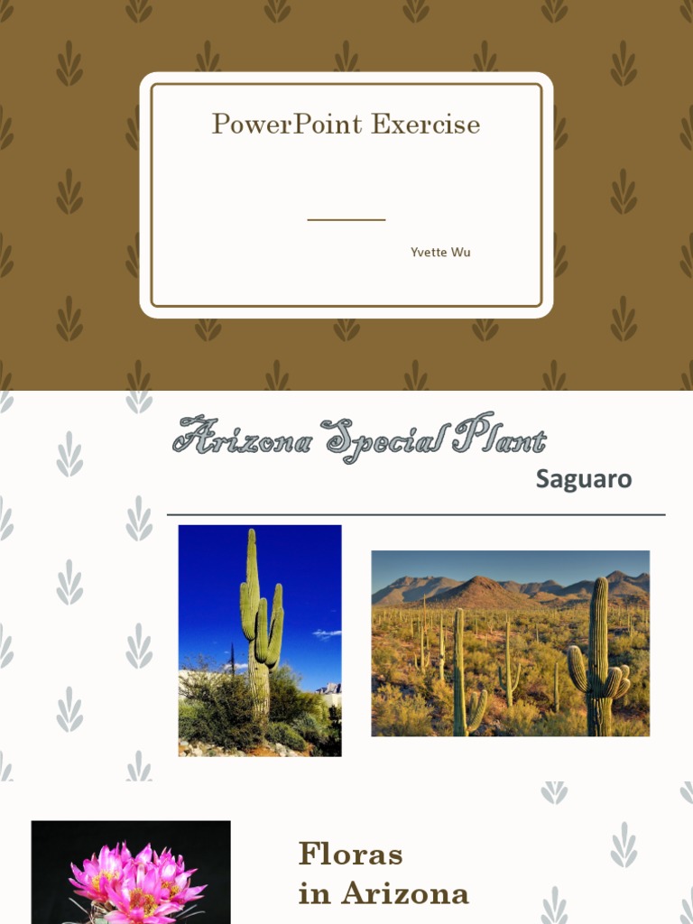 Powerpoint Exercise | PDF